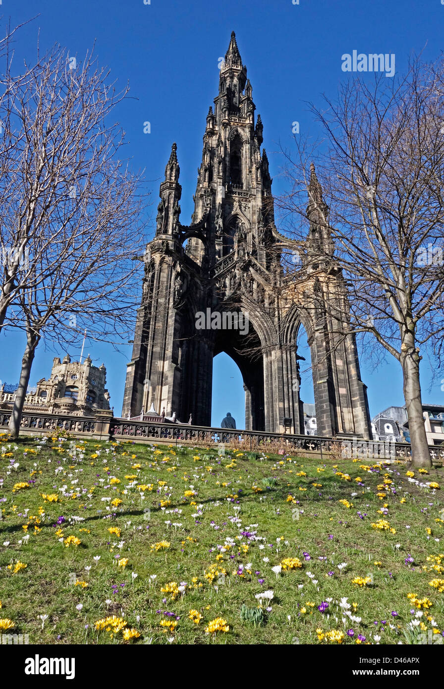 Early spring flowers hi-res stock photography and images - Alamy