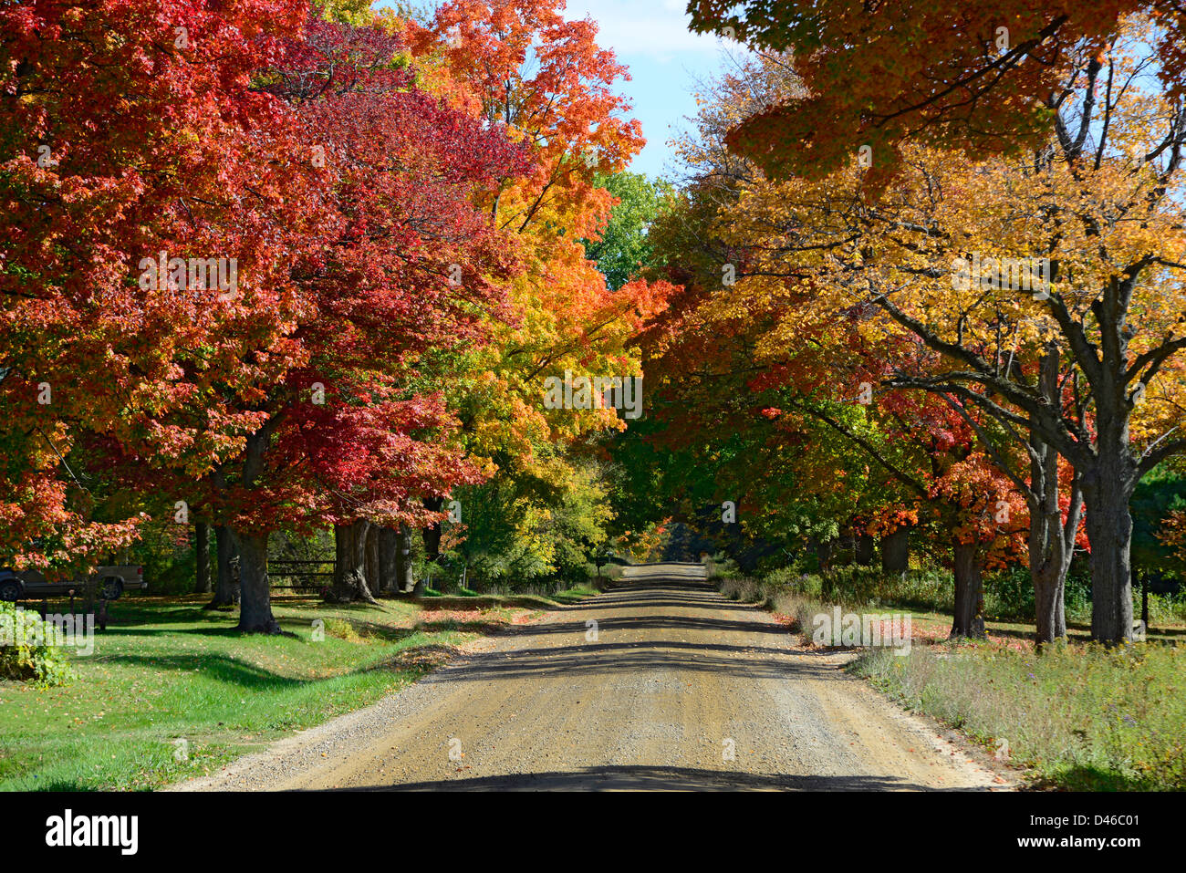 Leavesamerica hi-res stock photography and images - Alamy