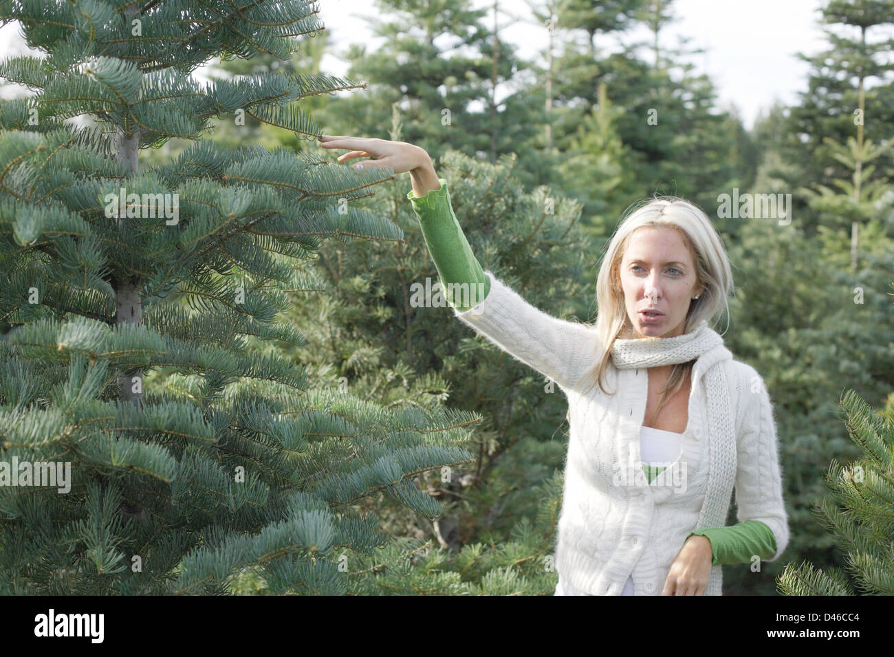 Woman wondering threw christmas tree hi-res stock photography and ...