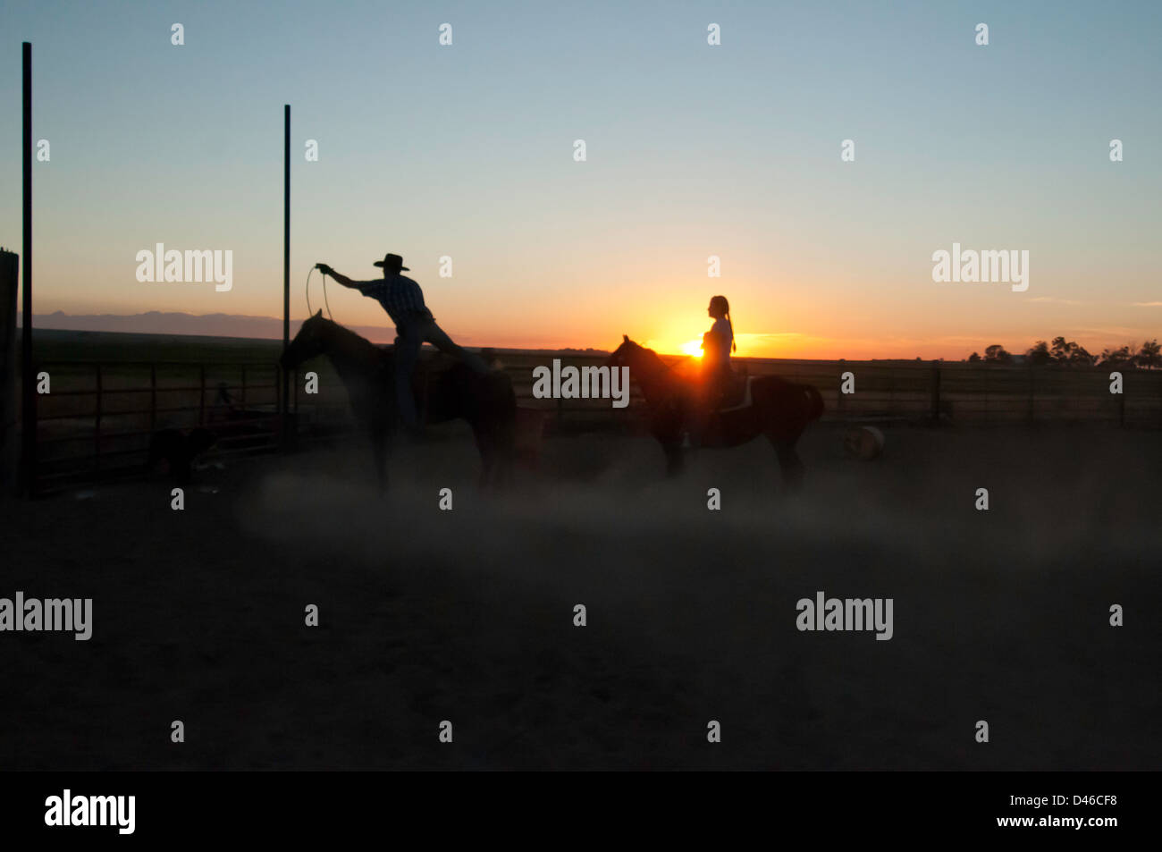 Cowgirl Roping High Resolution Stock Photography and Images - Alamy