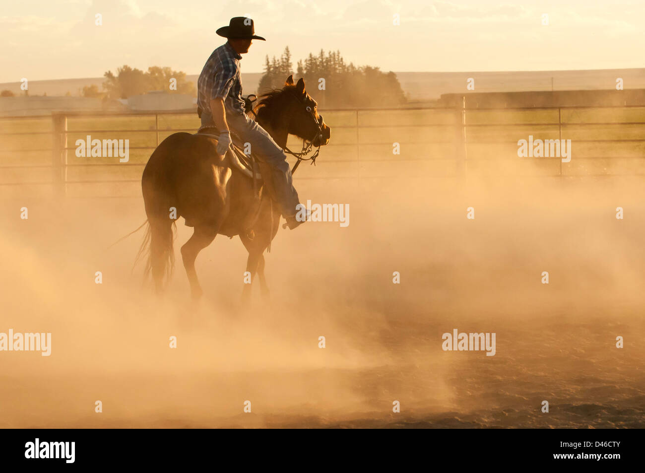 Cowboy riding horse in a dusty arena at sunset. Twin Falls, Idaho Stock ...