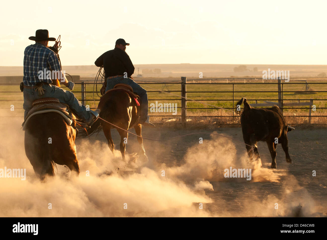 Two cowboys hi-res stock photography and images - Alamy