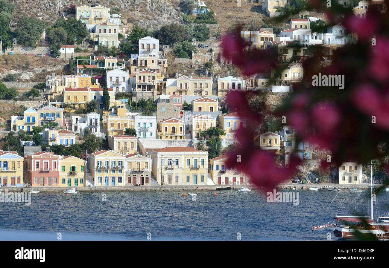 Symi's neoclassical houses with an oleander in the foreground; Yialos ...