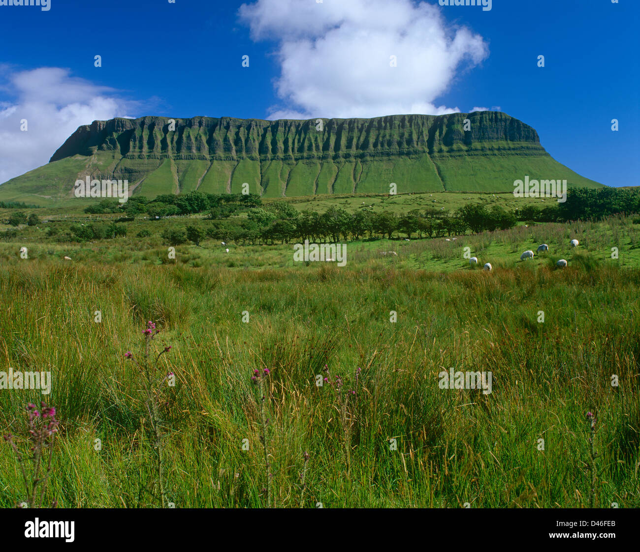 Ben Bulben, Dartry Mountains, Country Silgo, Ireland Stock Photo - Alamy