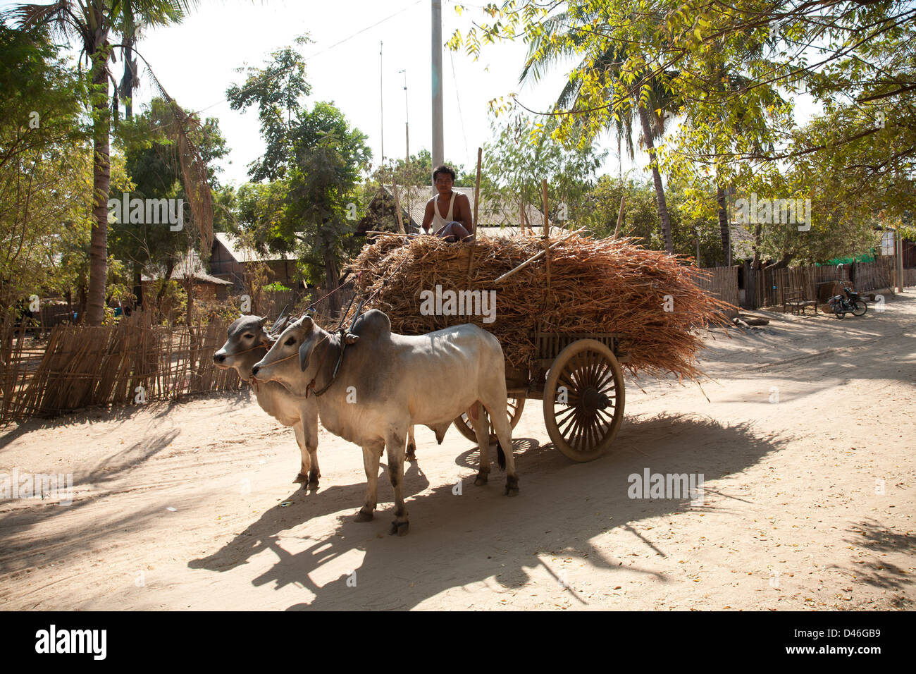Ox cart wheel hi-res stock photography and images - Alamy