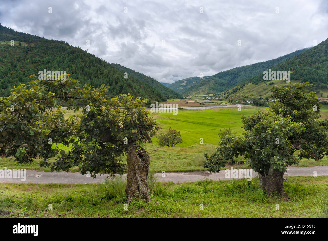 Sangti river flowing through Sangti valley (village) surrounded by ...