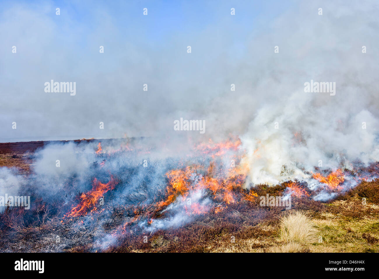 Fire strategy uk hi-res stock photography and images - Alamy