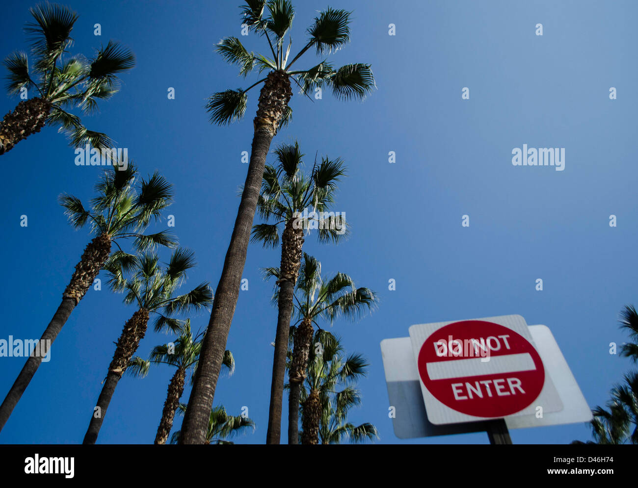 Road sign and palm trees hi-res stock photography and images - Alamy