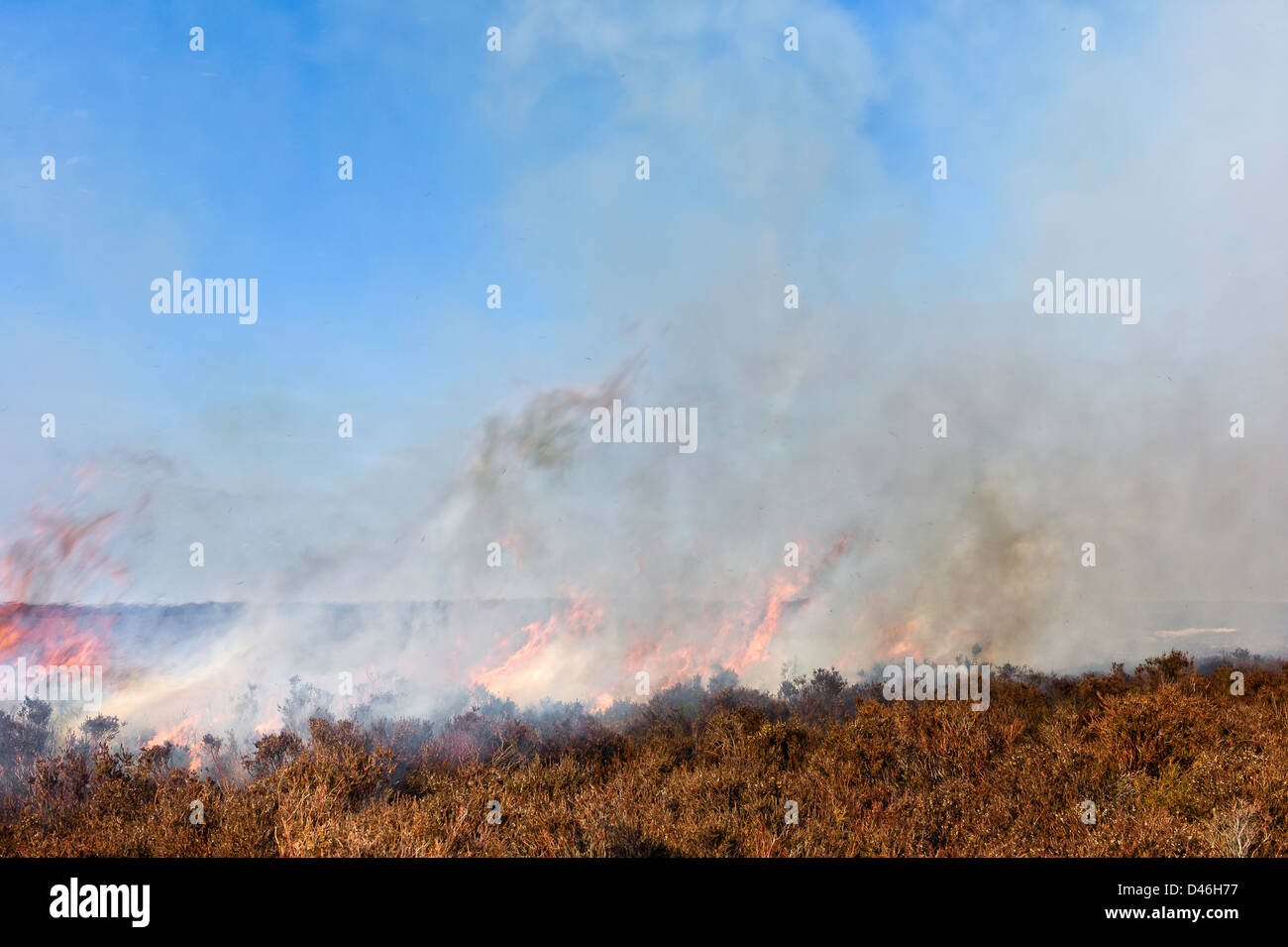 Heather Burning On North Yorkshire High Resolution Stock Photography ...