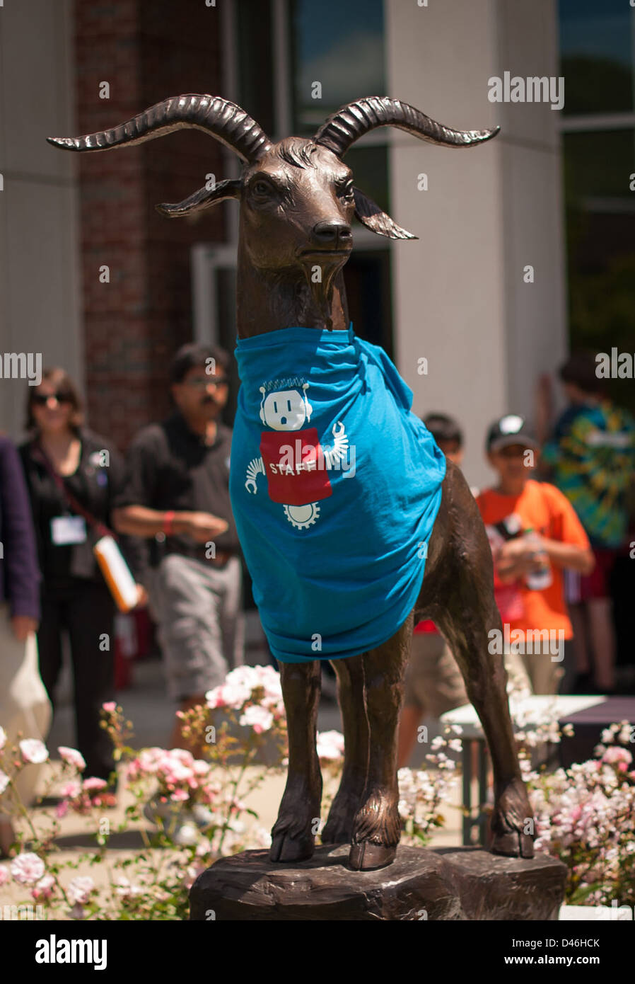Gompei goat hi-res stock photography and images - Alamy
