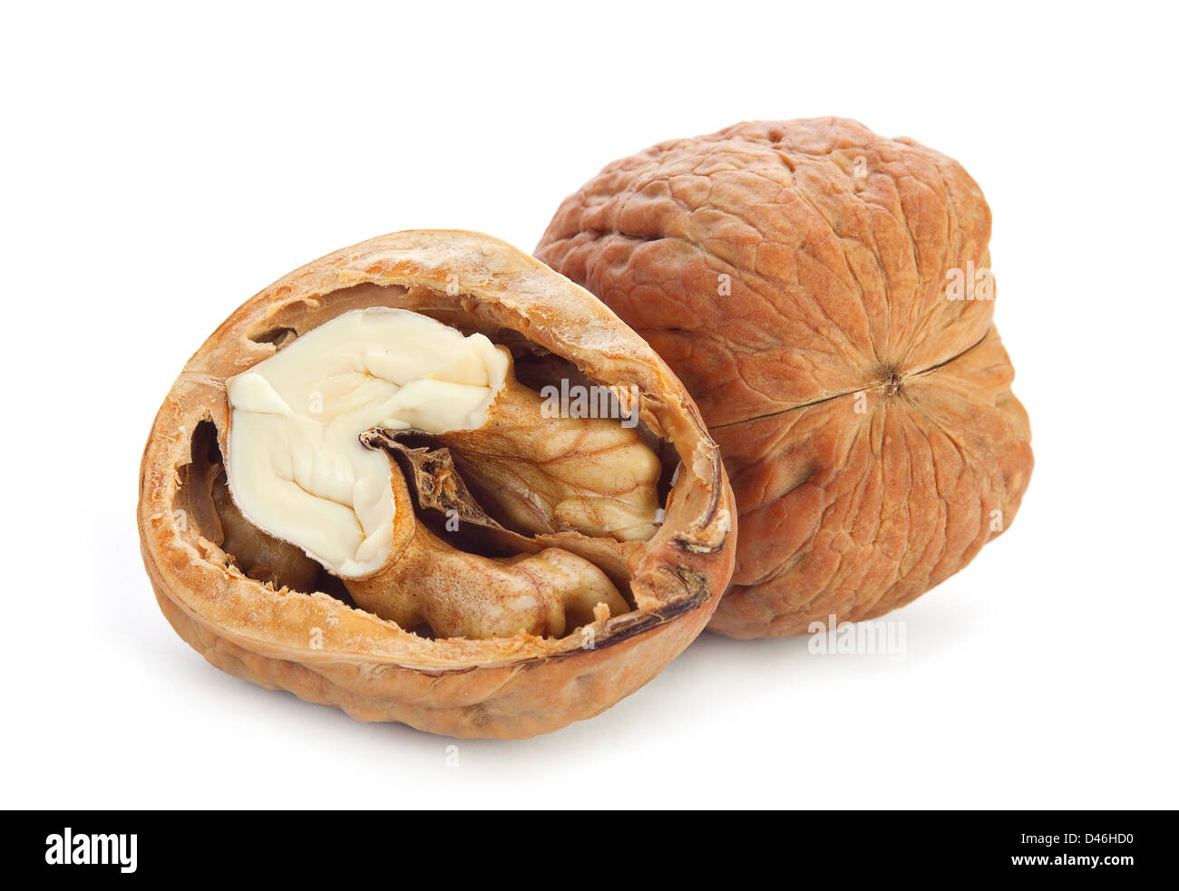 Giant walnut hi-res stock photography and images - Alamy