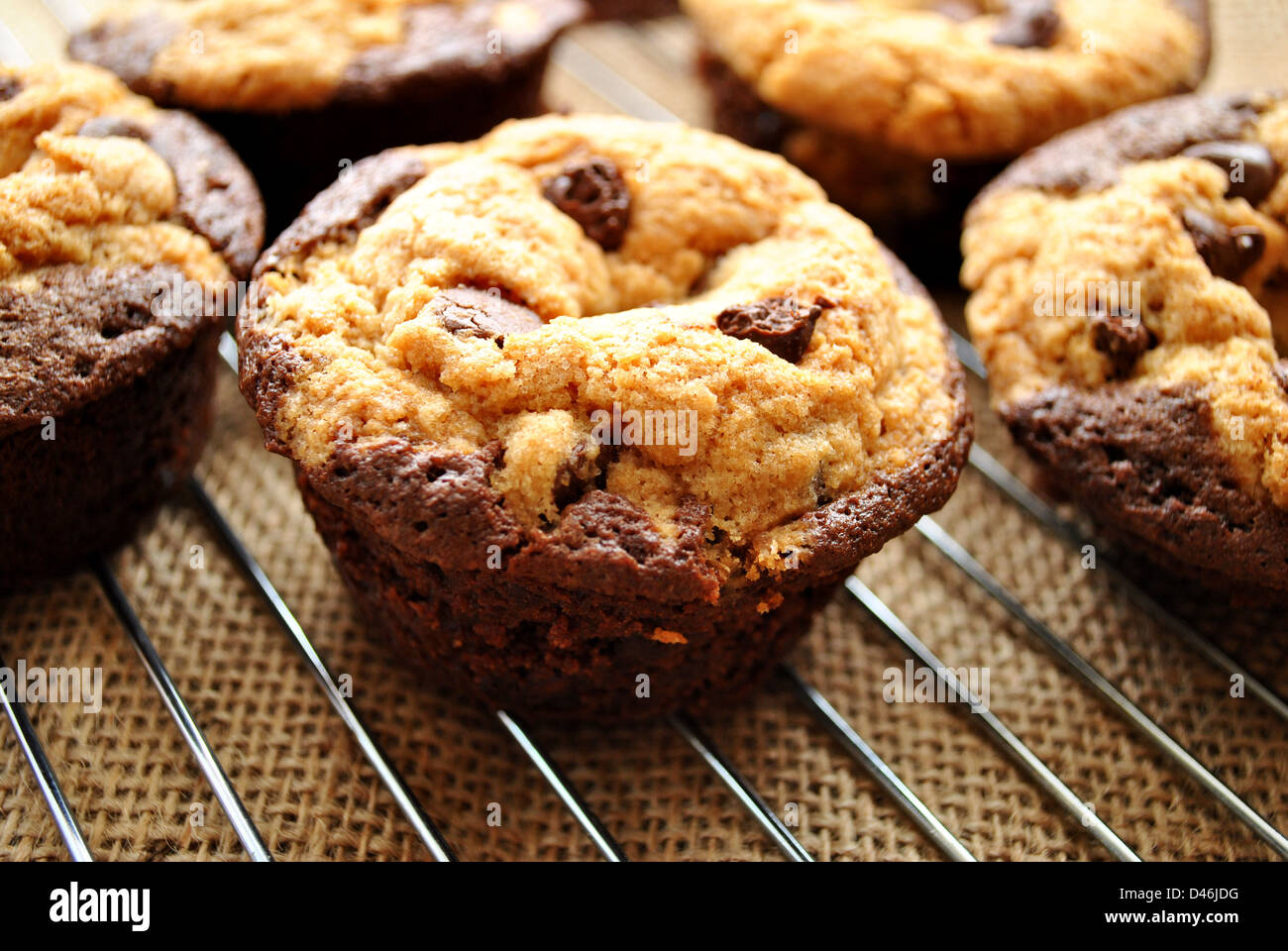 American home baking chocolate chip muffins hi-res stock photography ...