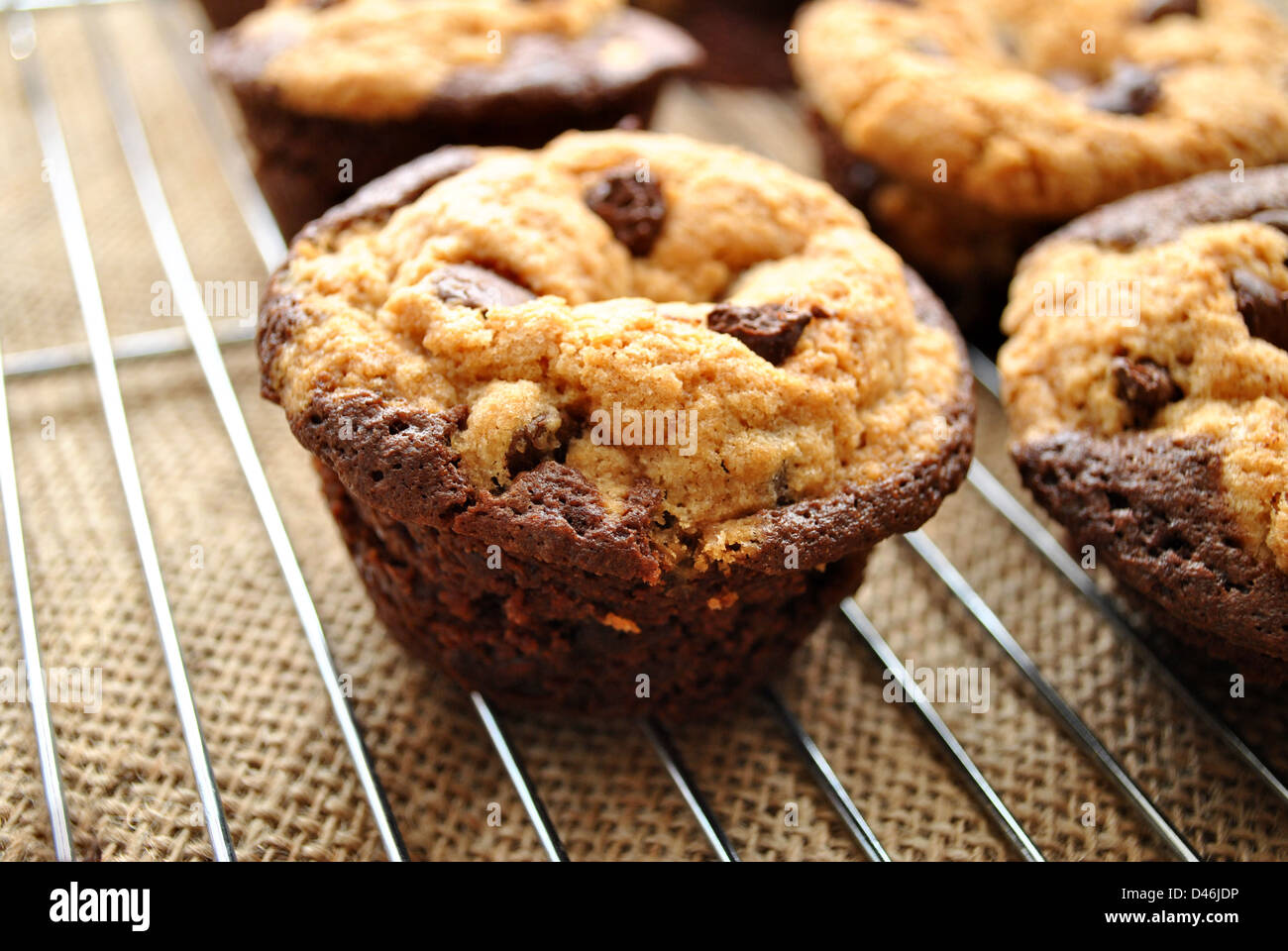 American home baking chocolate chip muffins hi-res stock photography ...