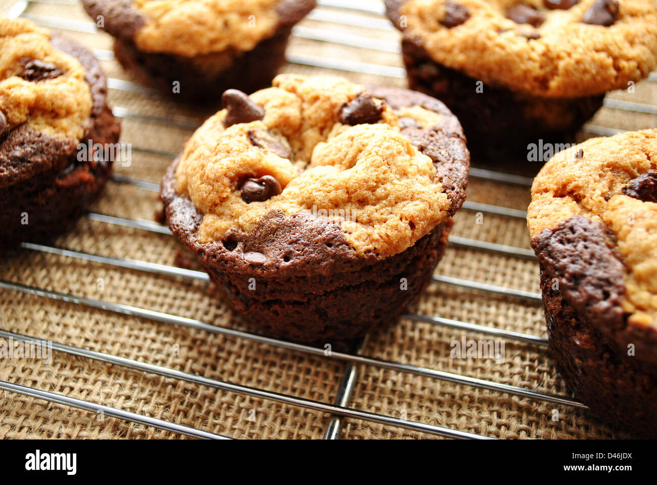 Delicious Muffins Cooling Stock Photo - Alamy