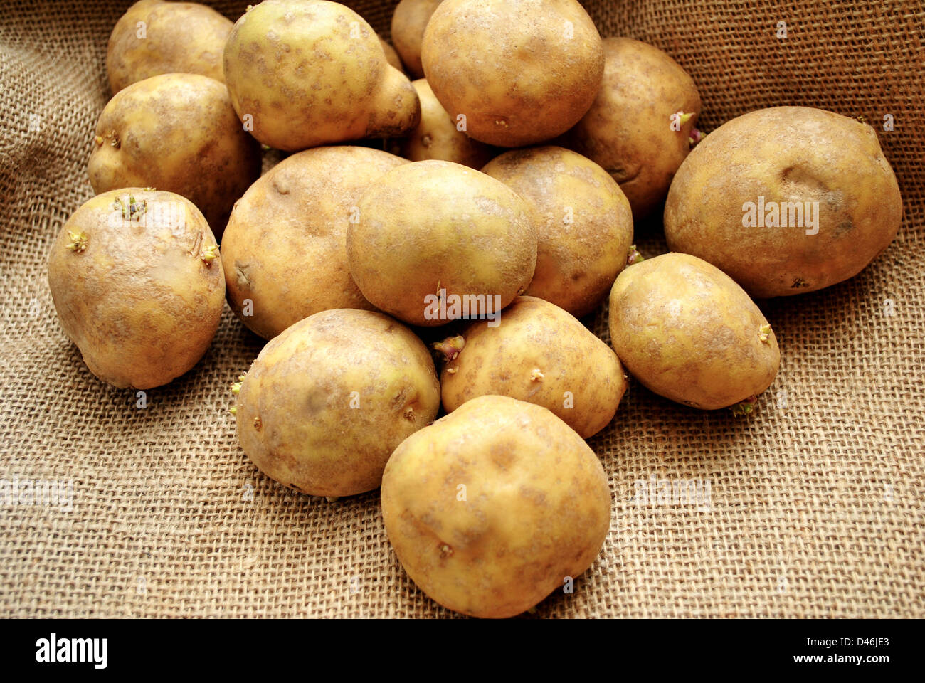Raw Fresh Whole Potatoes Stock Photo - Alamy