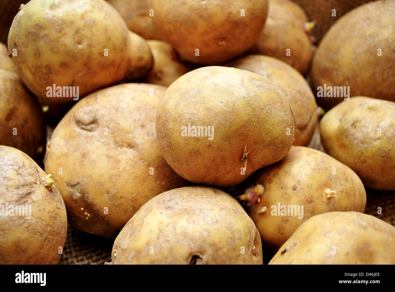 Whole Potato Background Stock Photo - Alamy