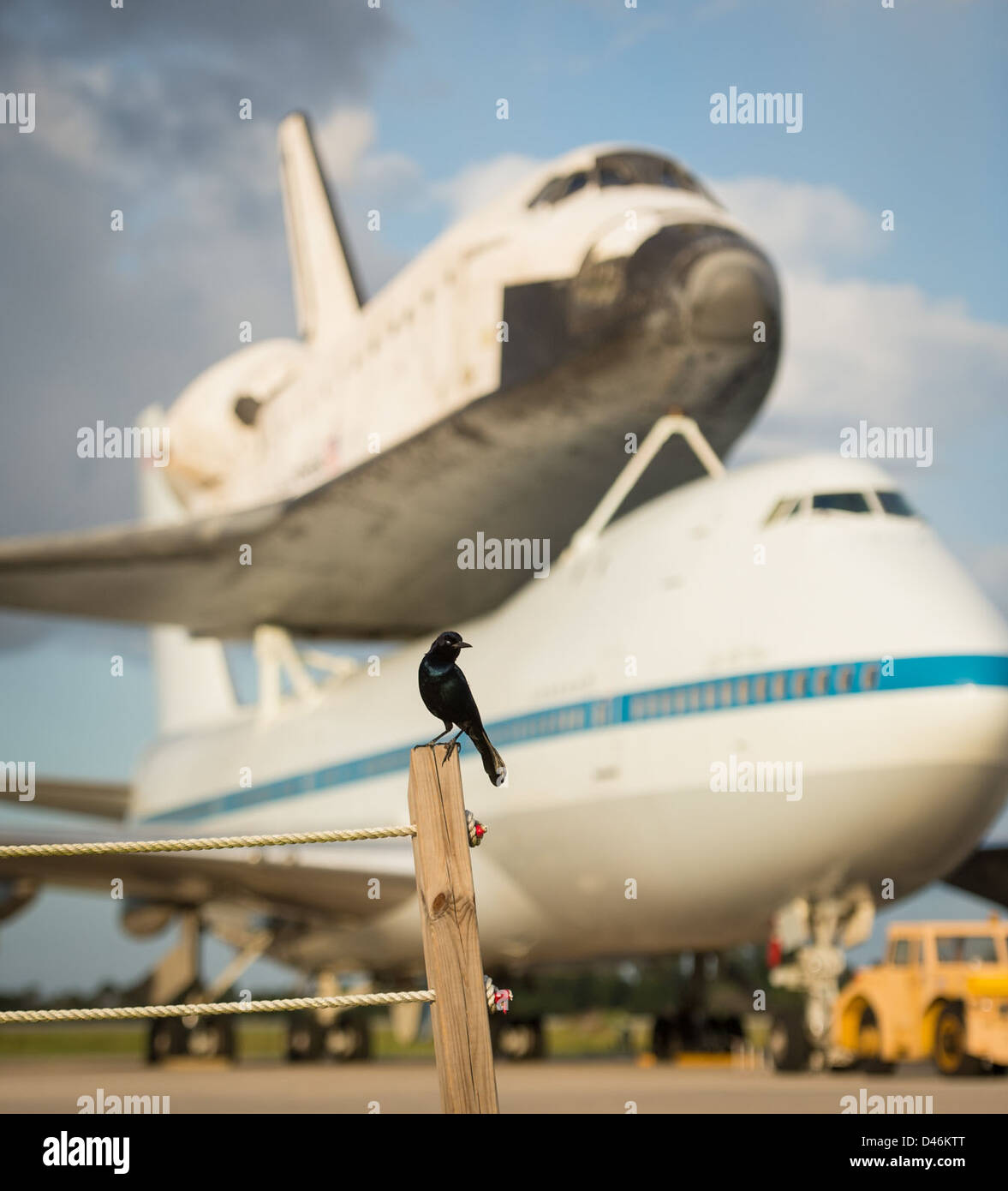 Space Shuttle Endeavour, mounted atop the 747 Shuttle Carrier Aircraft ...