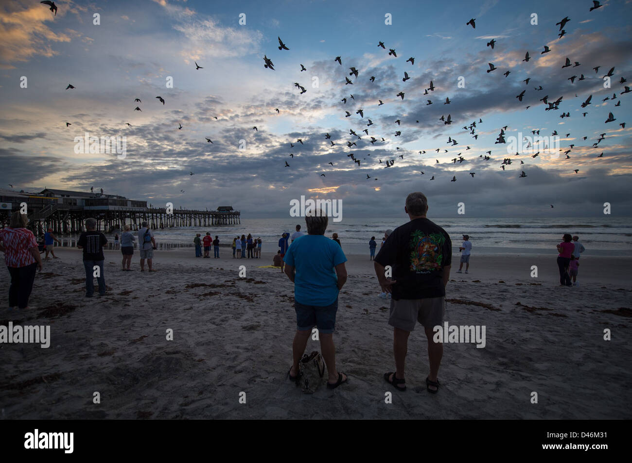 Endeavour Ferry Flight (201209190006HQ Stock Photo - Alamy