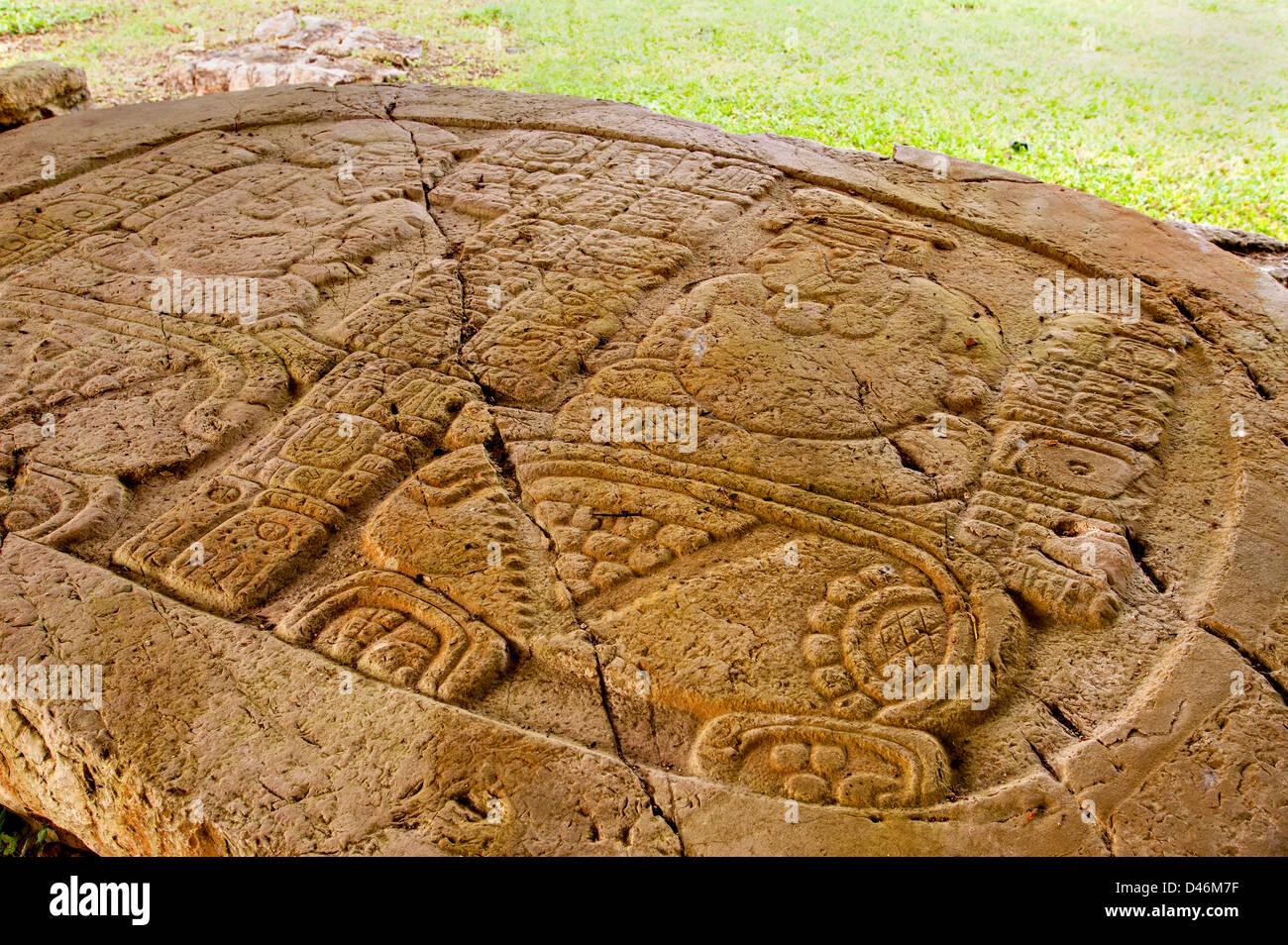 A stela at Caracol Maya ruins, Belize Stock Photo - Alamy