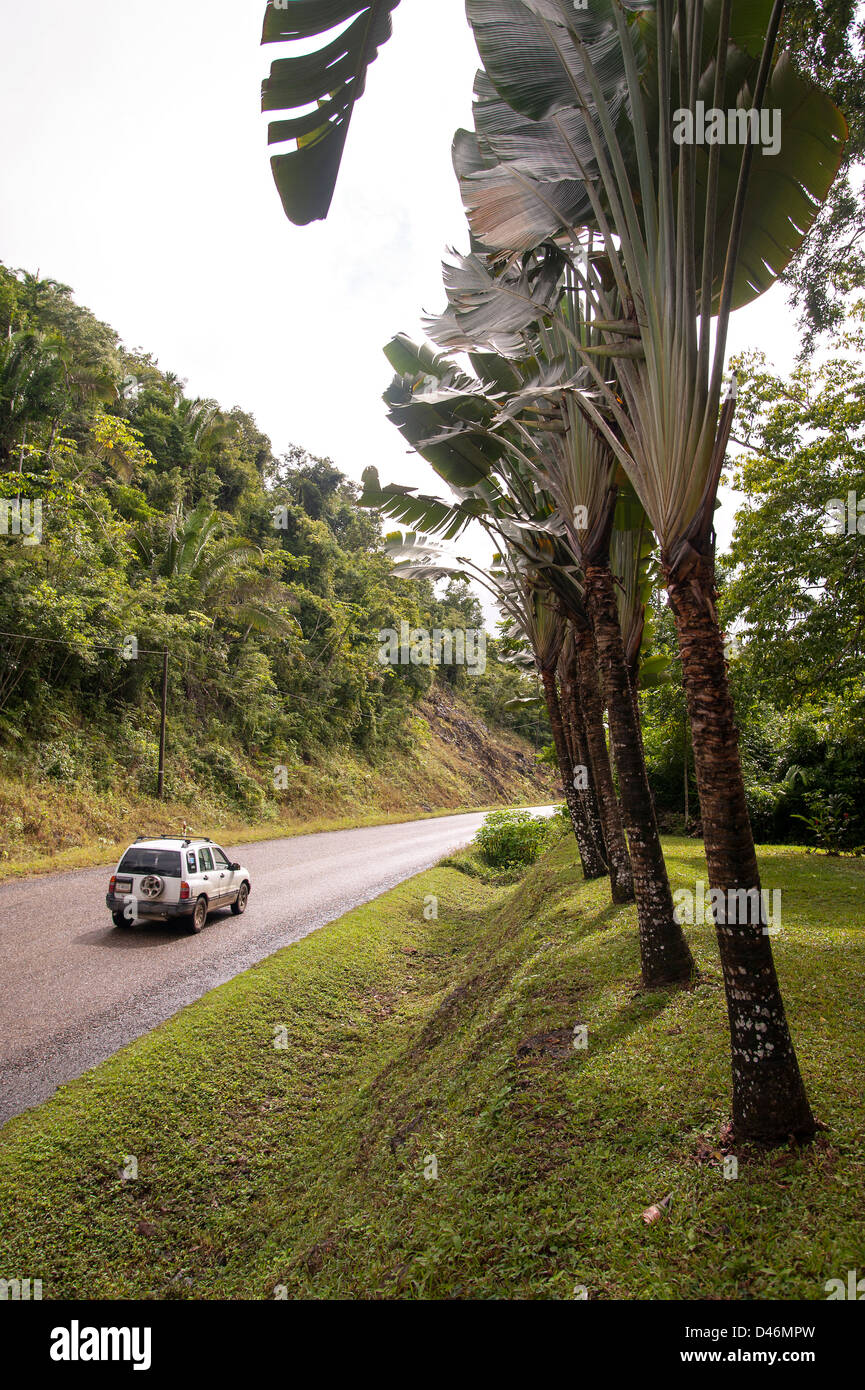 Hummingbird highway belize hi-res stock photography and images - Alamy