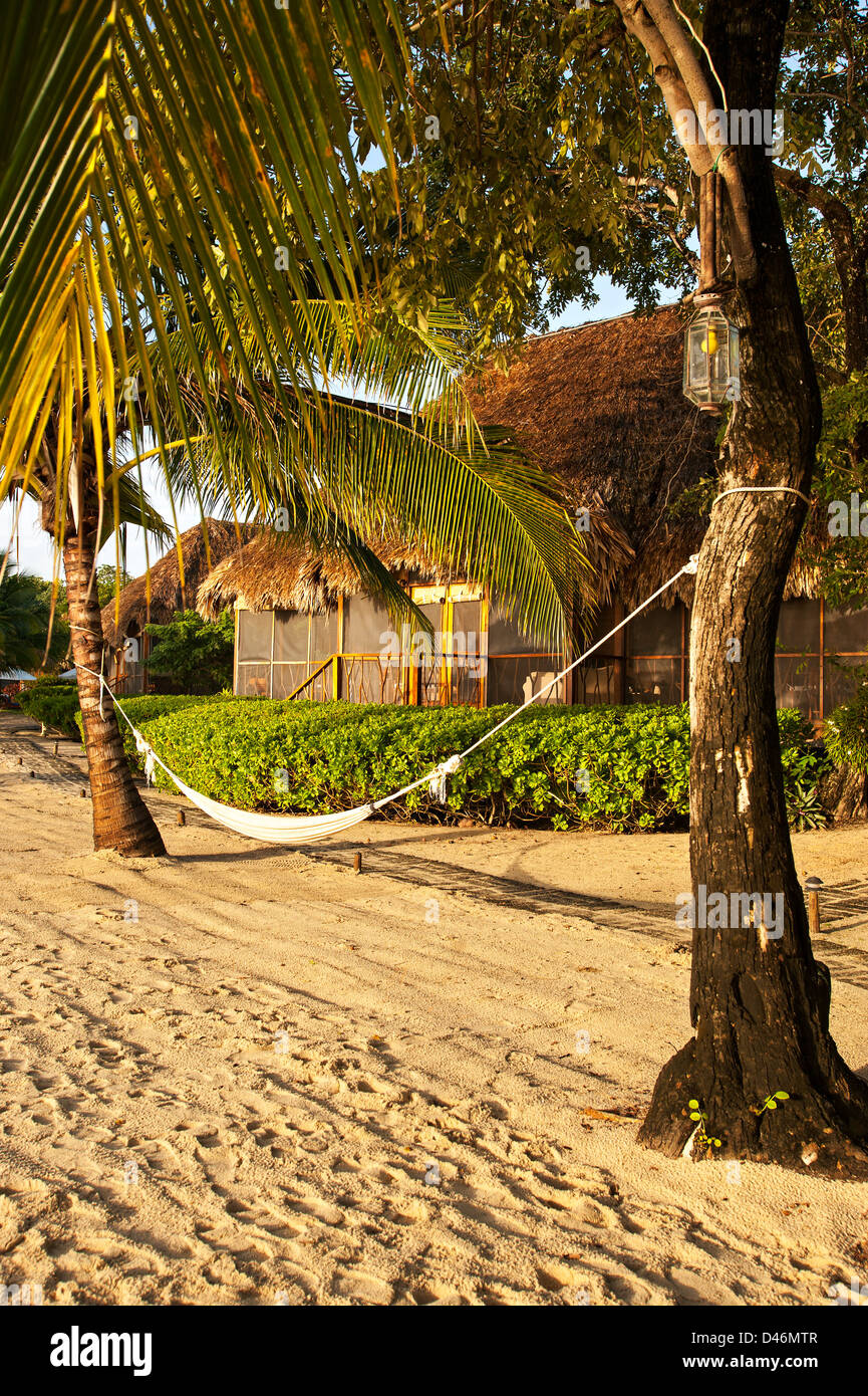 Turtle inn hi-res stock photography and images - Alamy