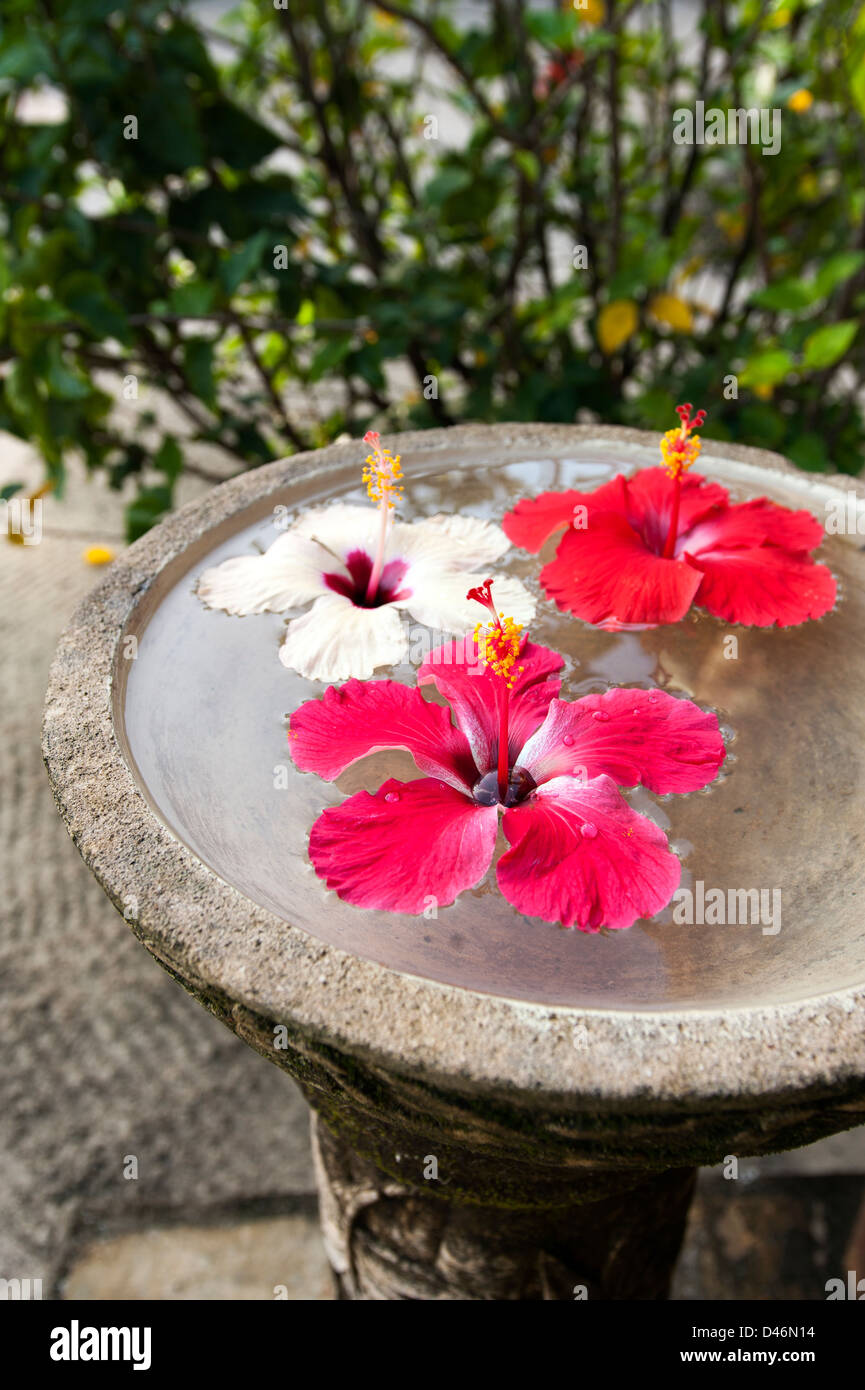 Turtle Inn, on the beach at Placencia Stock Photo - Alamy