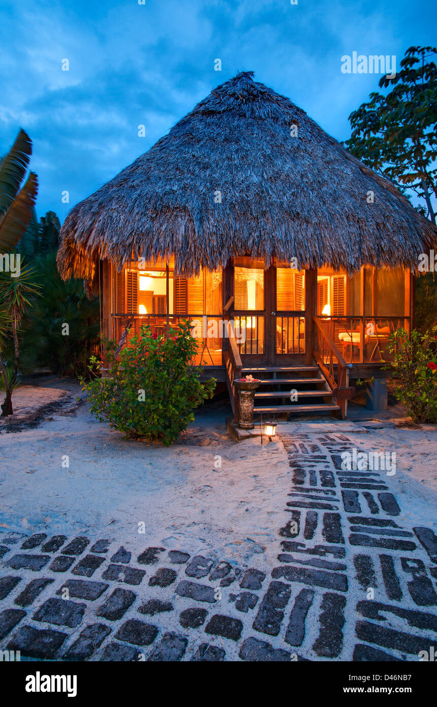 Coastal turtle hi-res stock photography and images - Alamy