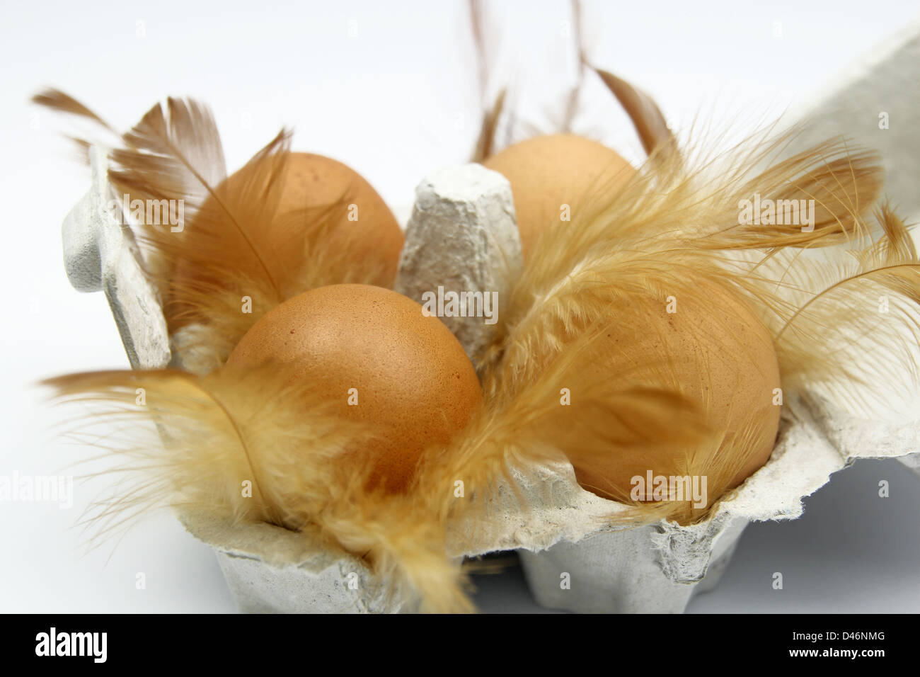 closeup of egg box and feathers Stock Photo - Alamy