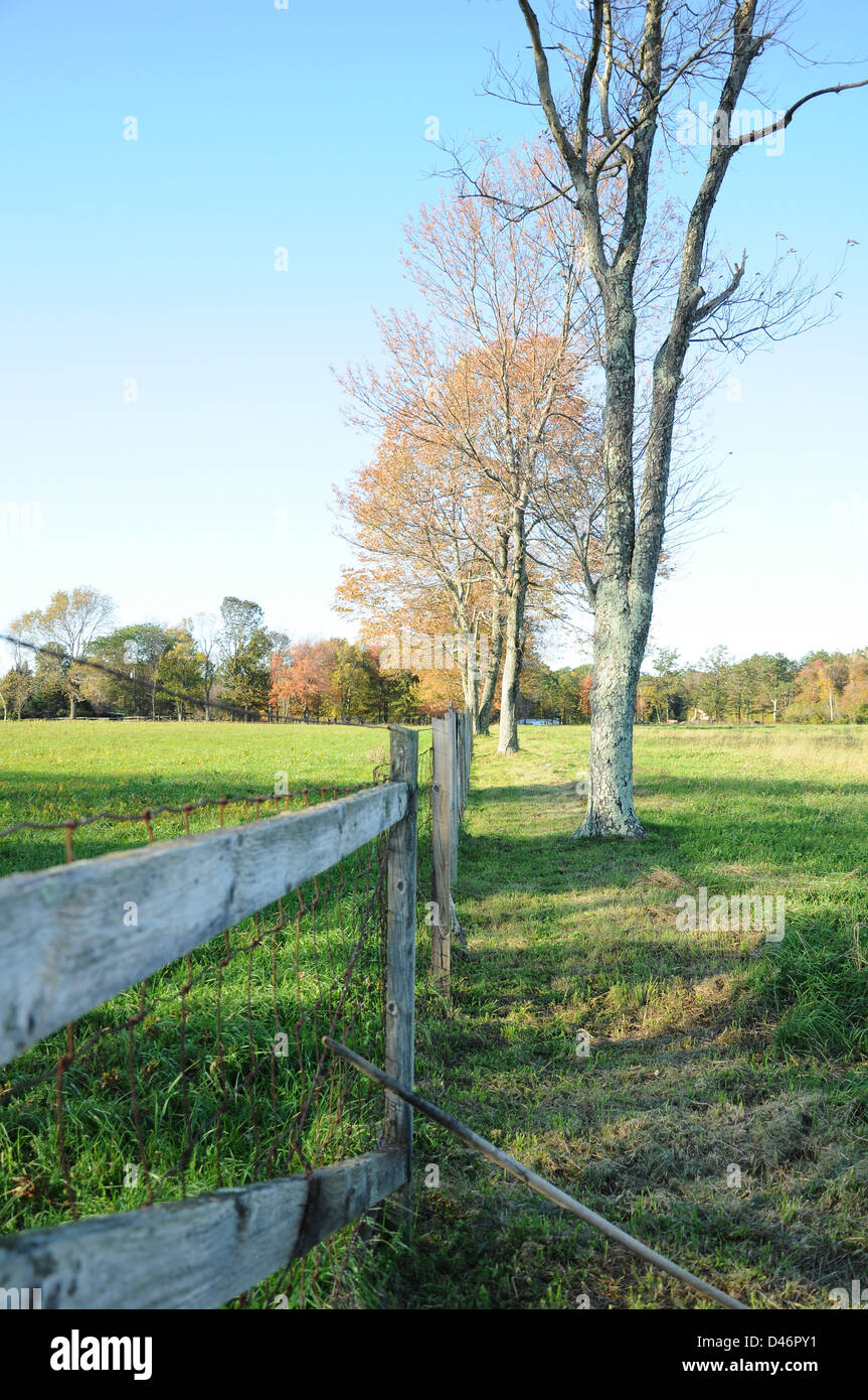 Connecticut Open High Resolution Stock Photography and Images - Alamy