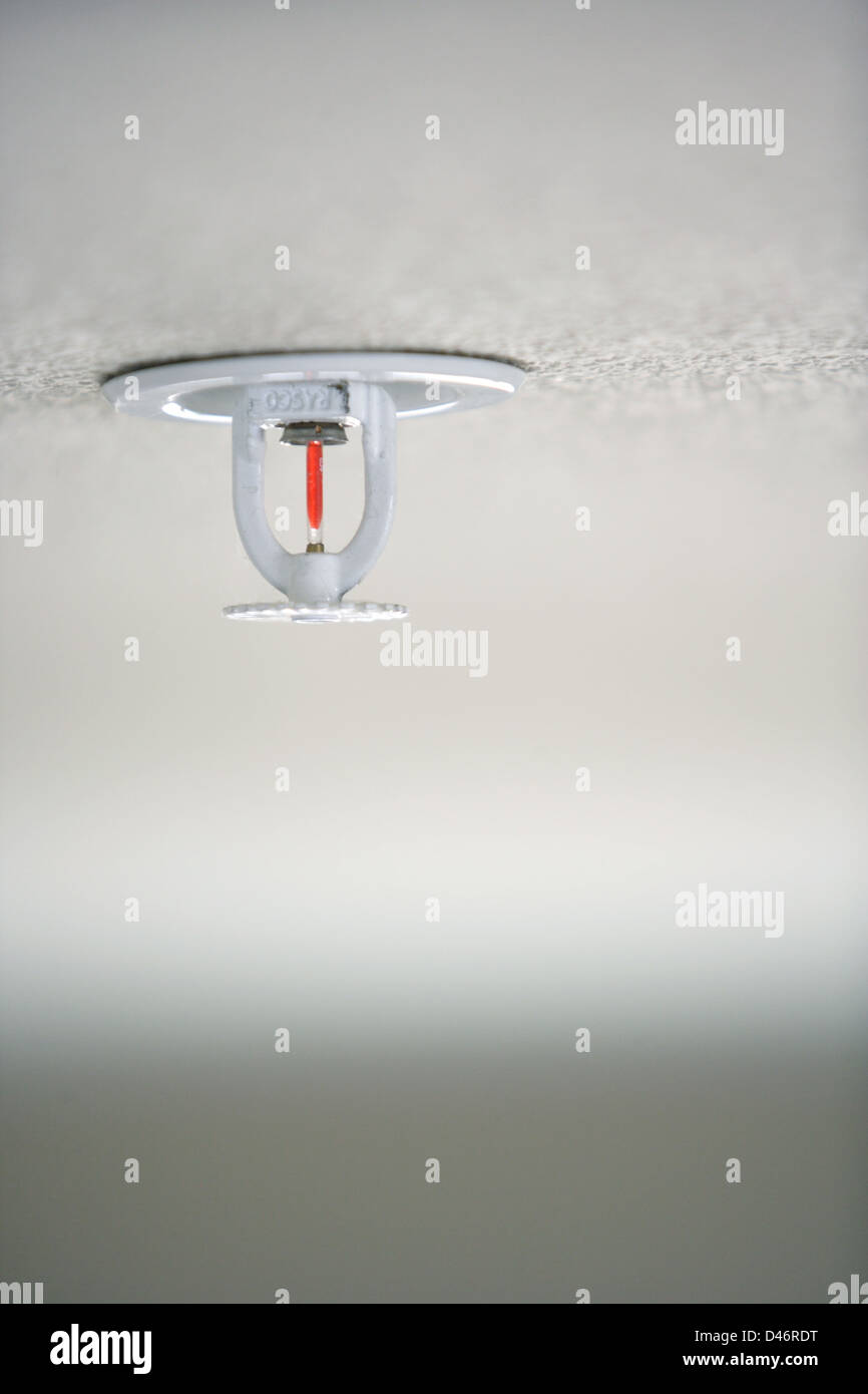 A residential fire sprinkler in a ceiling Stock Photo - Alamy