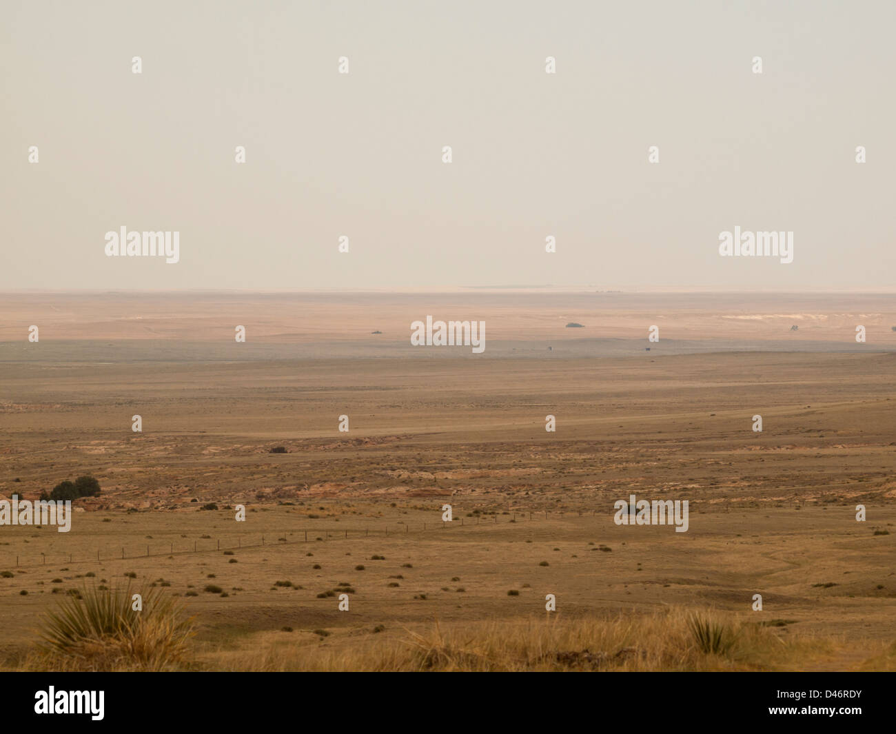 Endless prairie at Pawnee National Grassland in Weld County, of ...
