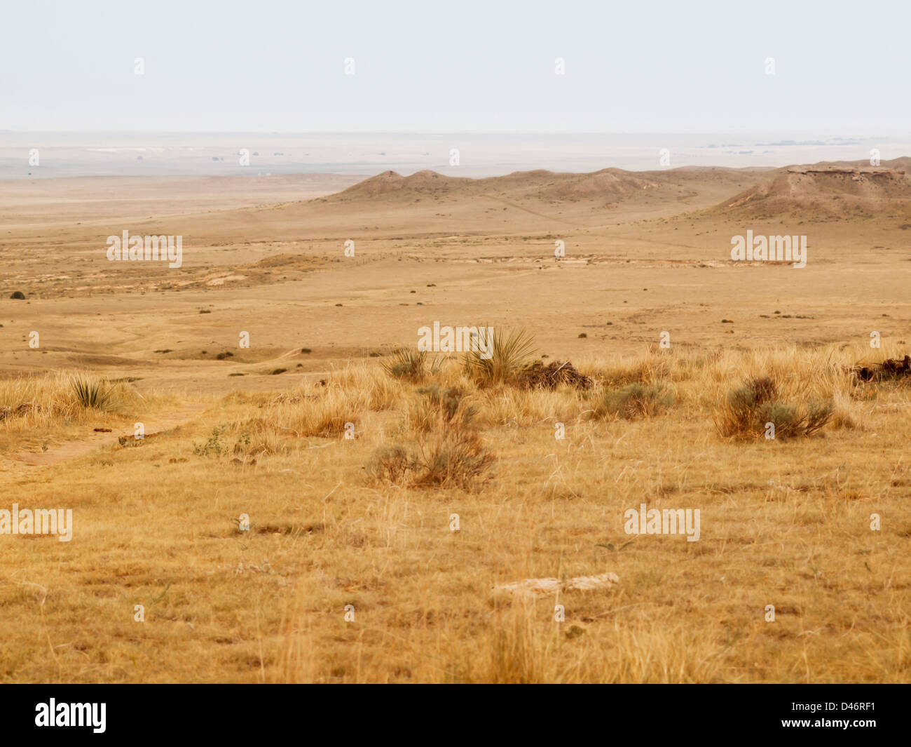 Endless prairie at Pawnee National Grassland in Weld County, of ...