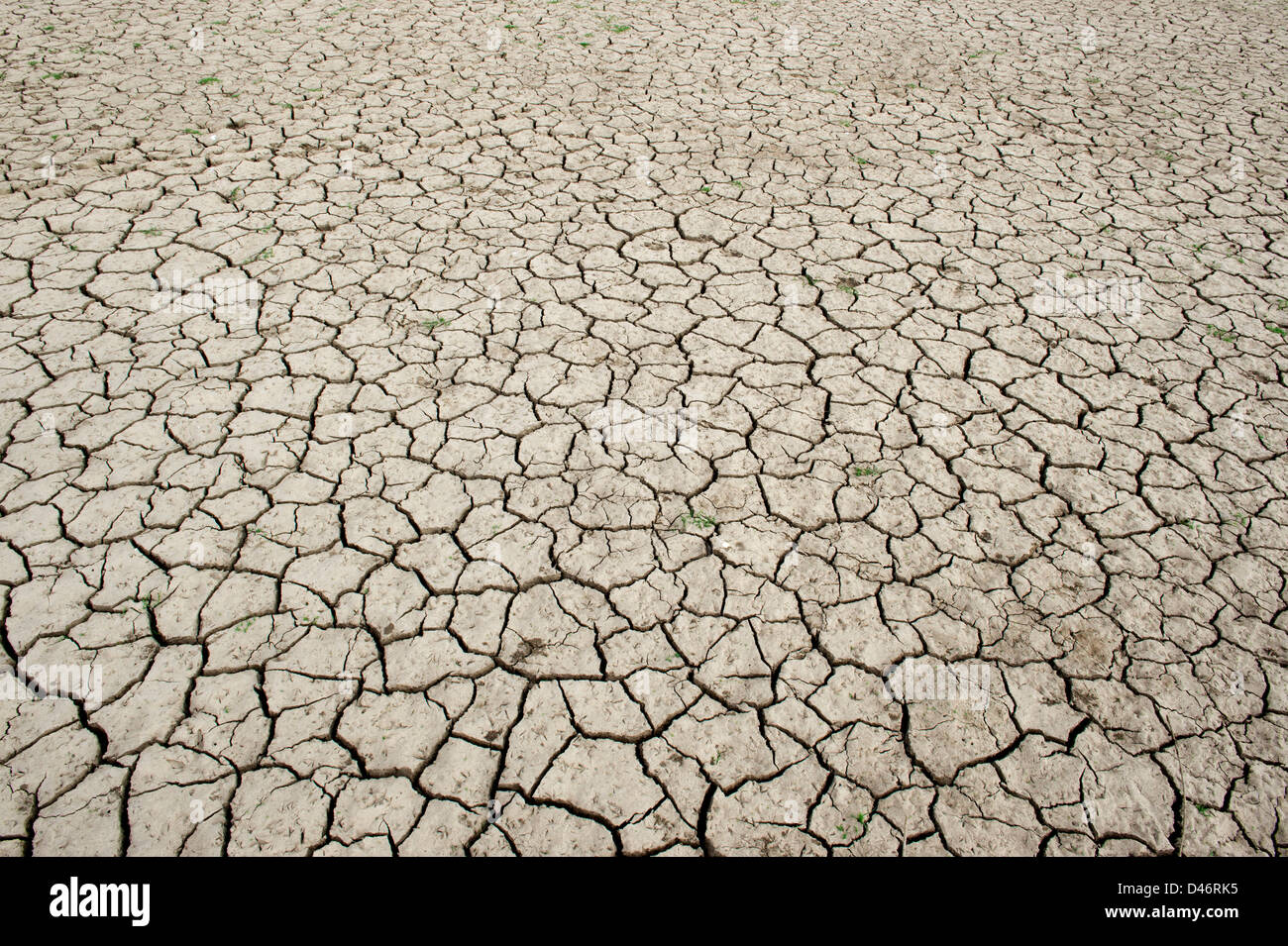 Clayey soil hi-res stock photography and images - Alamy
