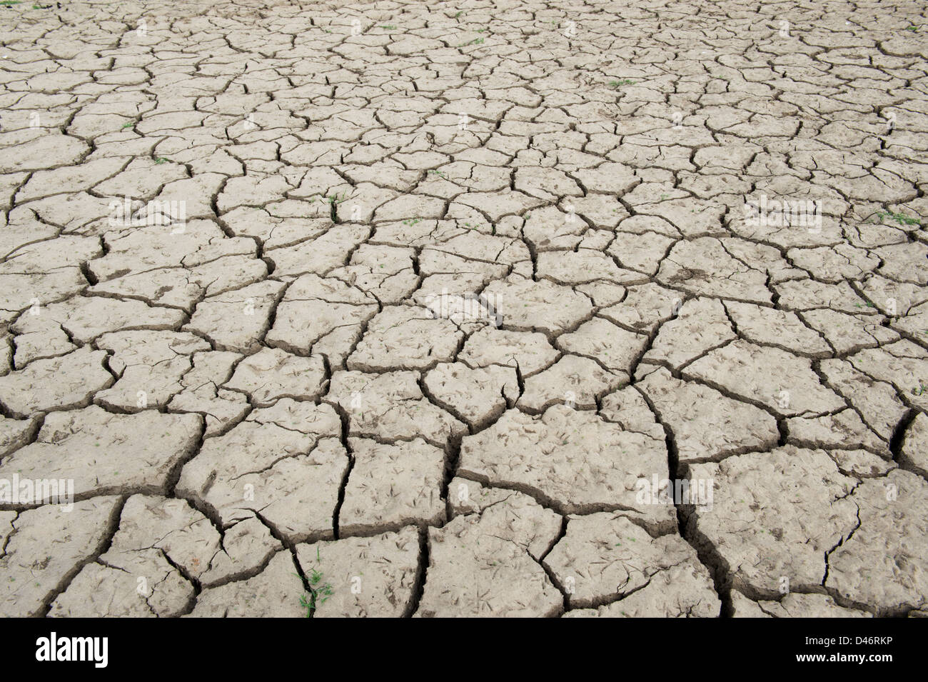 Clay soil hi-res stock photography and images - Alamy