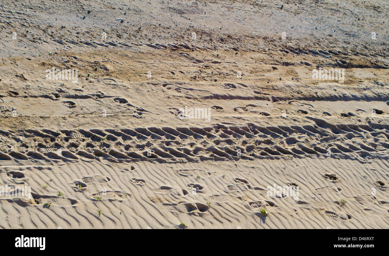 tracks in sand Stock Photo - Alamy