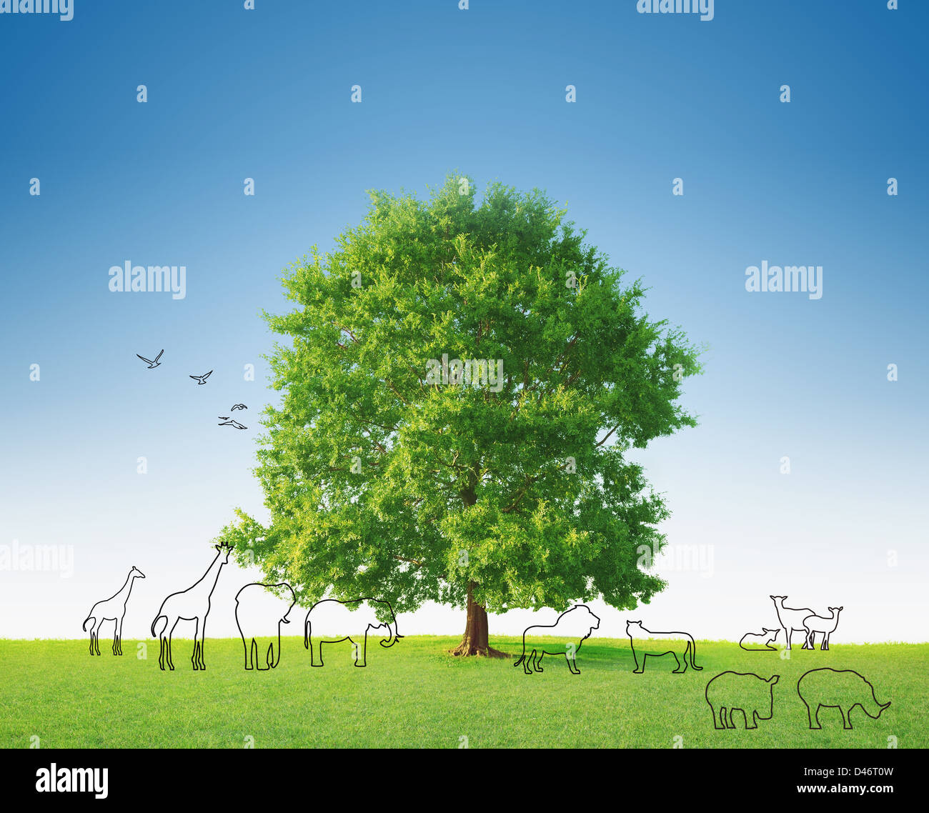 Tree And Animals Stock Photo - Alamy