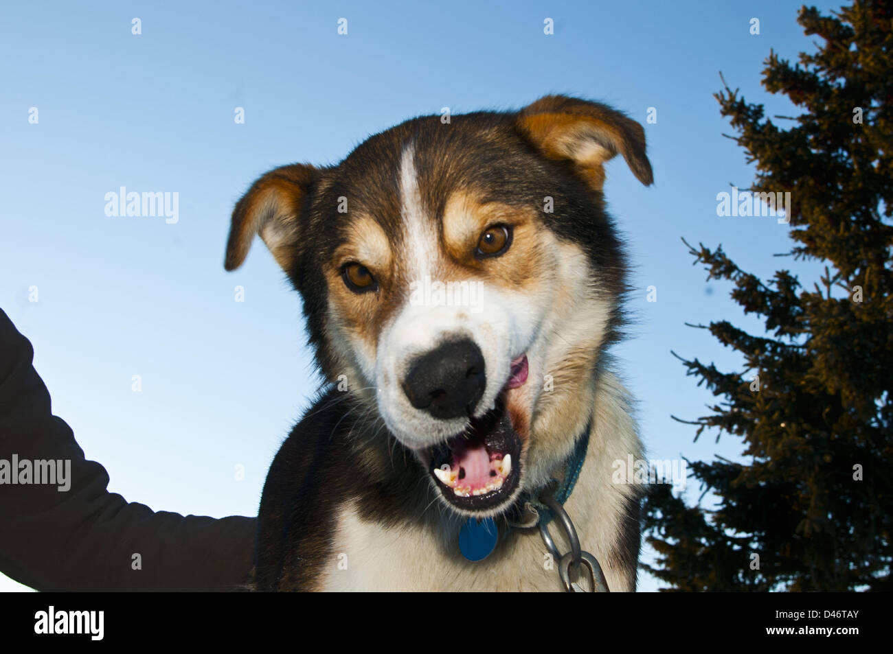 Kristy berington hi-res stock photography and images - Alamy