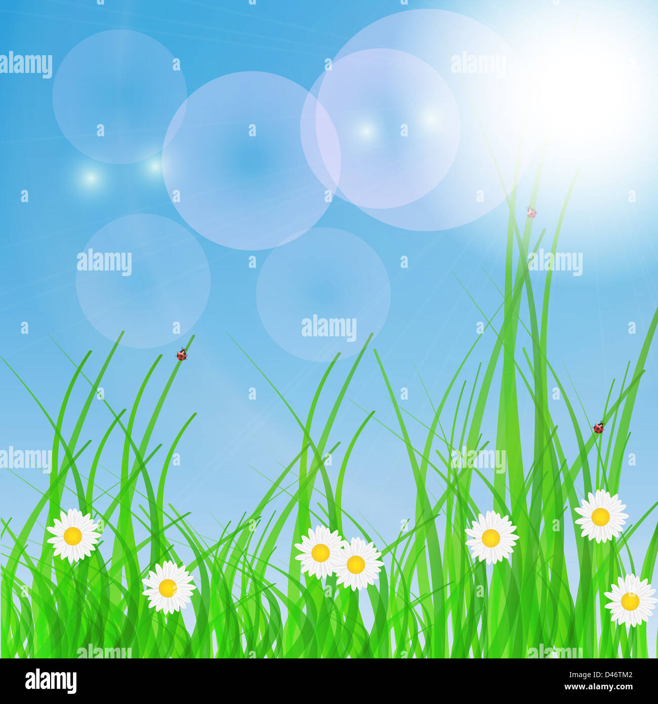 Spring green background. Grass and flower Stock Photo - Alamy