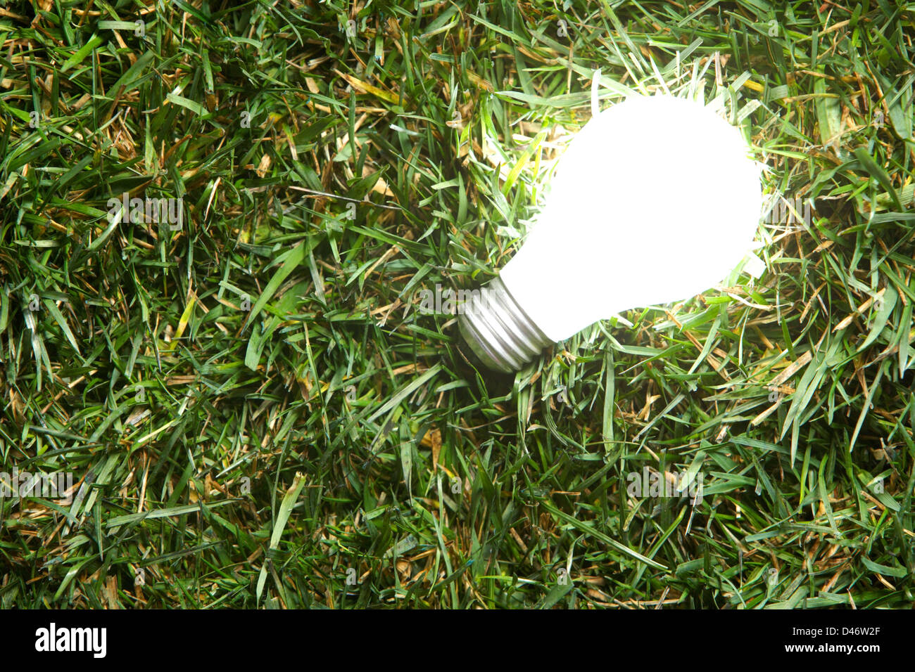 Green Light Bulb glowing in the grass Stock Photo - Alamy