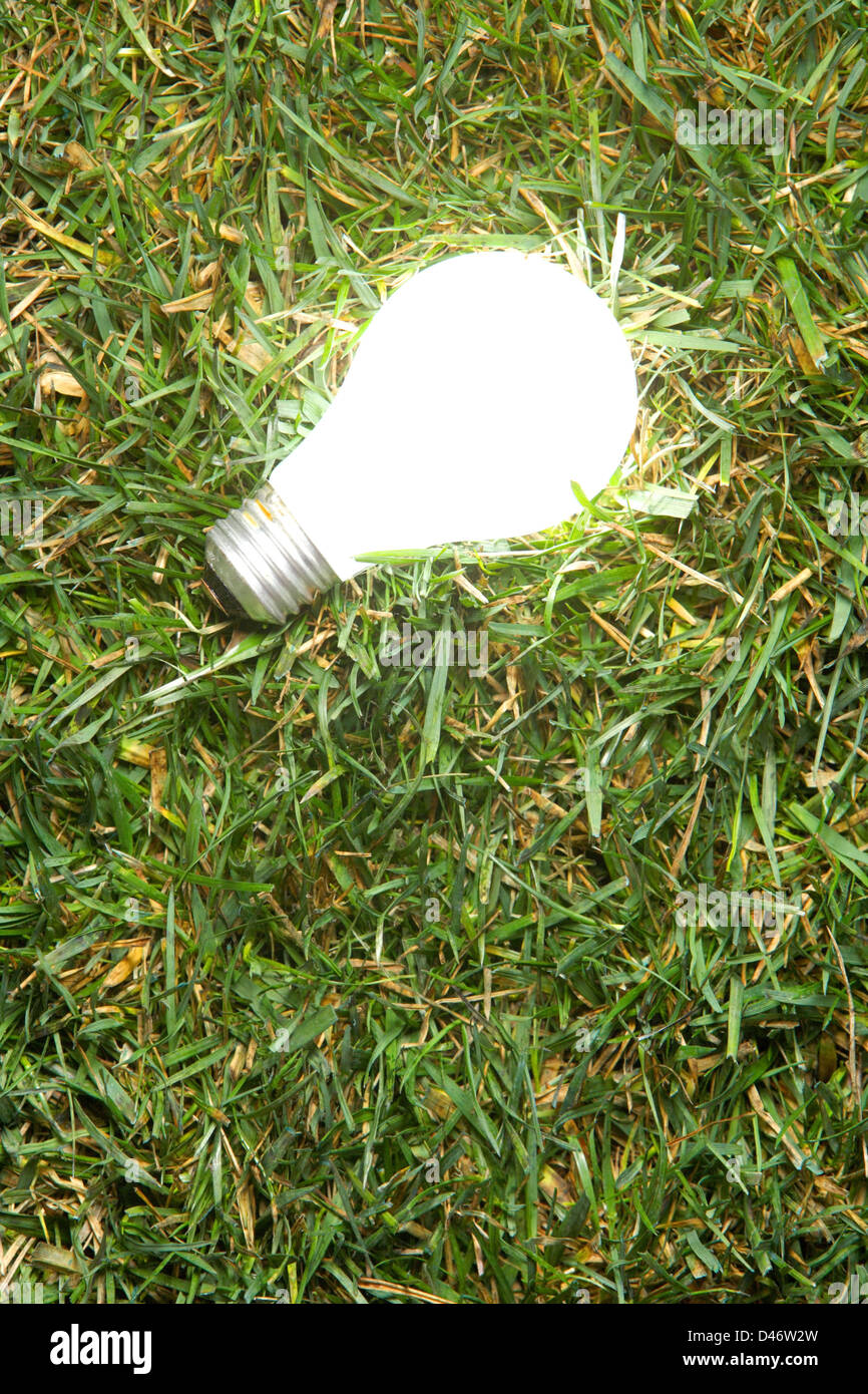 Green Light Bulb glowing in the grass Stock Photo - Alamy