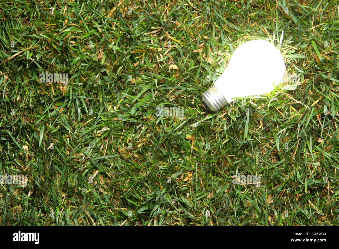 Green Light Bulb glowing in the grass Stock Photo - Alamy