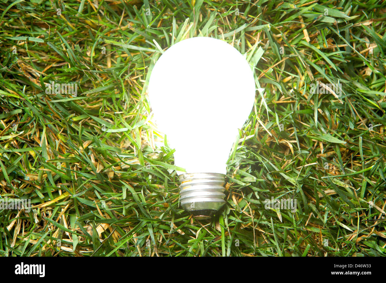Green Light Bulb glowing in the grass Stock Photo - Alamy