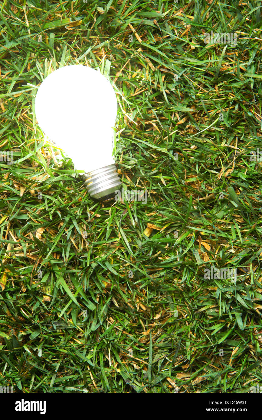 Green Light Bulb glowing in the grass Stock Photo - Alamy