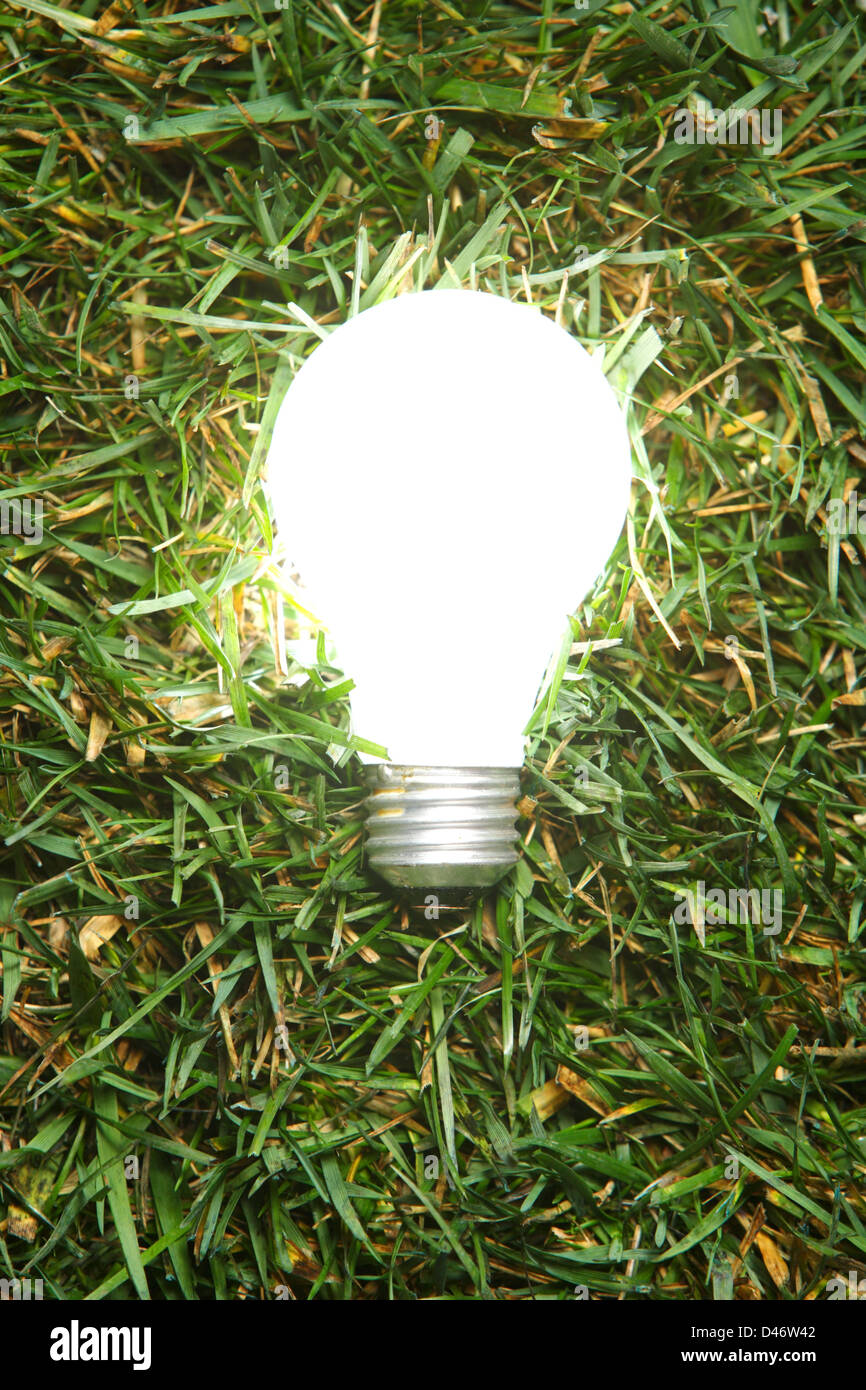 Green Light Bulb glowing in the grass Stock Photo - Alamy