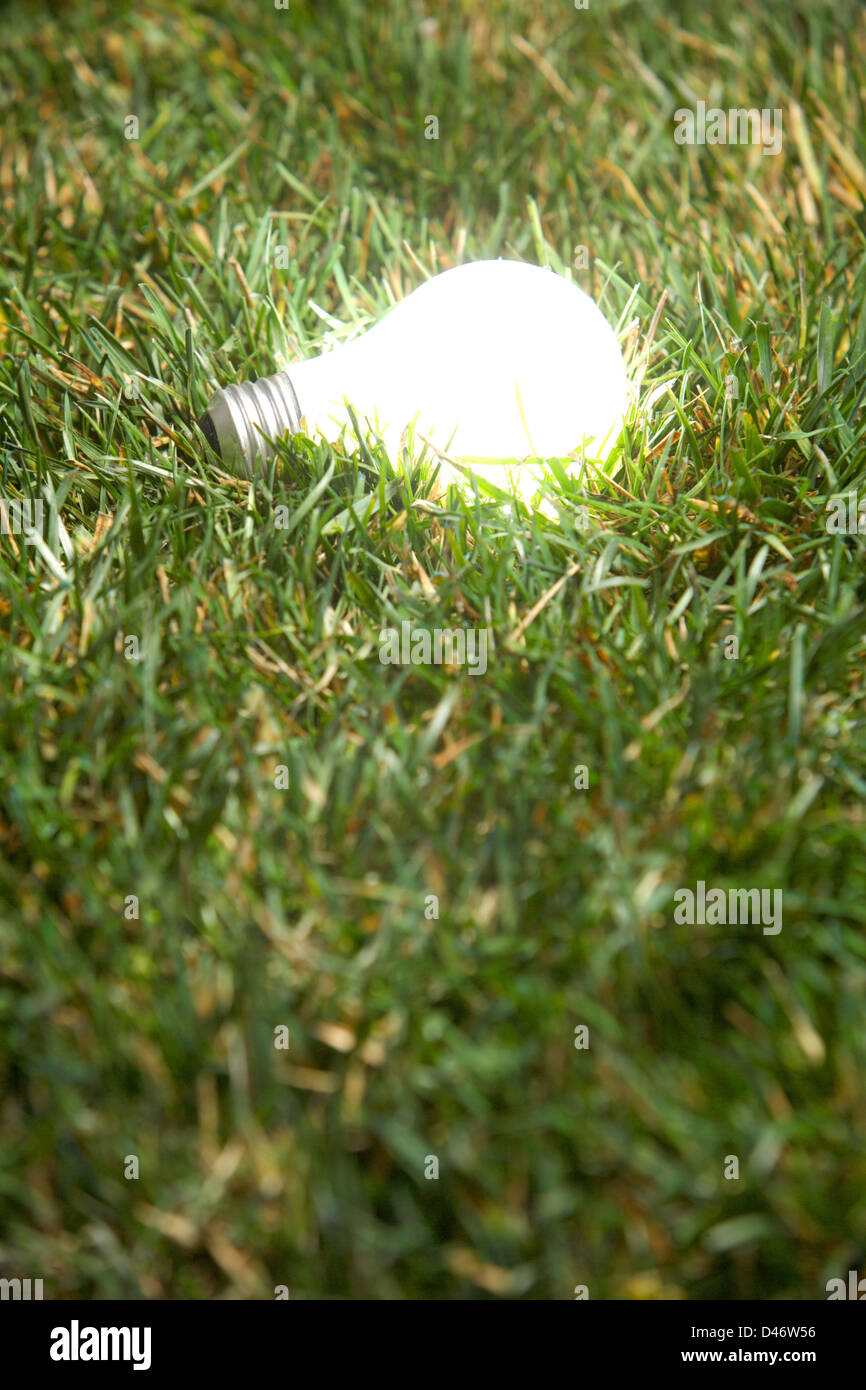 Green Light Bulb glowing in the grass Stock Photo - Alamy