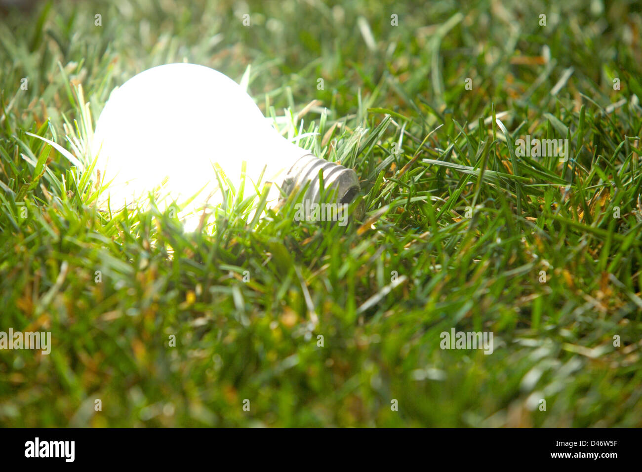Green Light Bulb glowing in the grass Stock Photo - Alamy