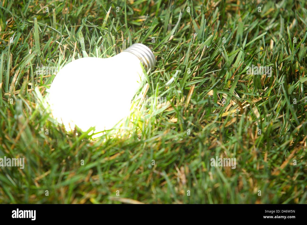 Green Light Bulb glowing in the grass Stock Photo - Alamy