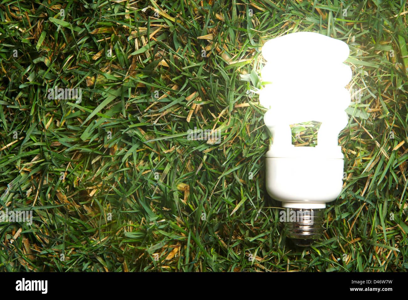 Green Light Bulb glowing in the grass Stock Photo - Alamy