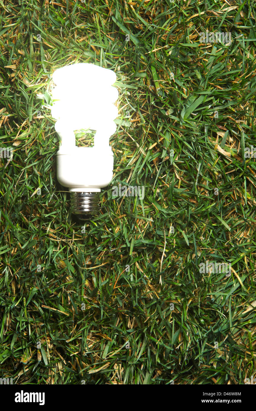 Green Light Bulb glowing in the grass Stock Photo - Alamy