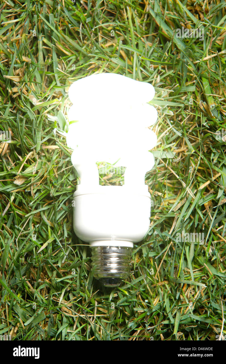 Green Light Bulb glowing in the grass Stock Photo - Alamy